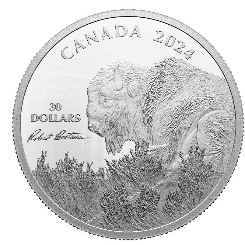 2024 2oz $30 WEATHER WATCH - BISON, BY ROBERT BATEMAN FINE SILVER COIN